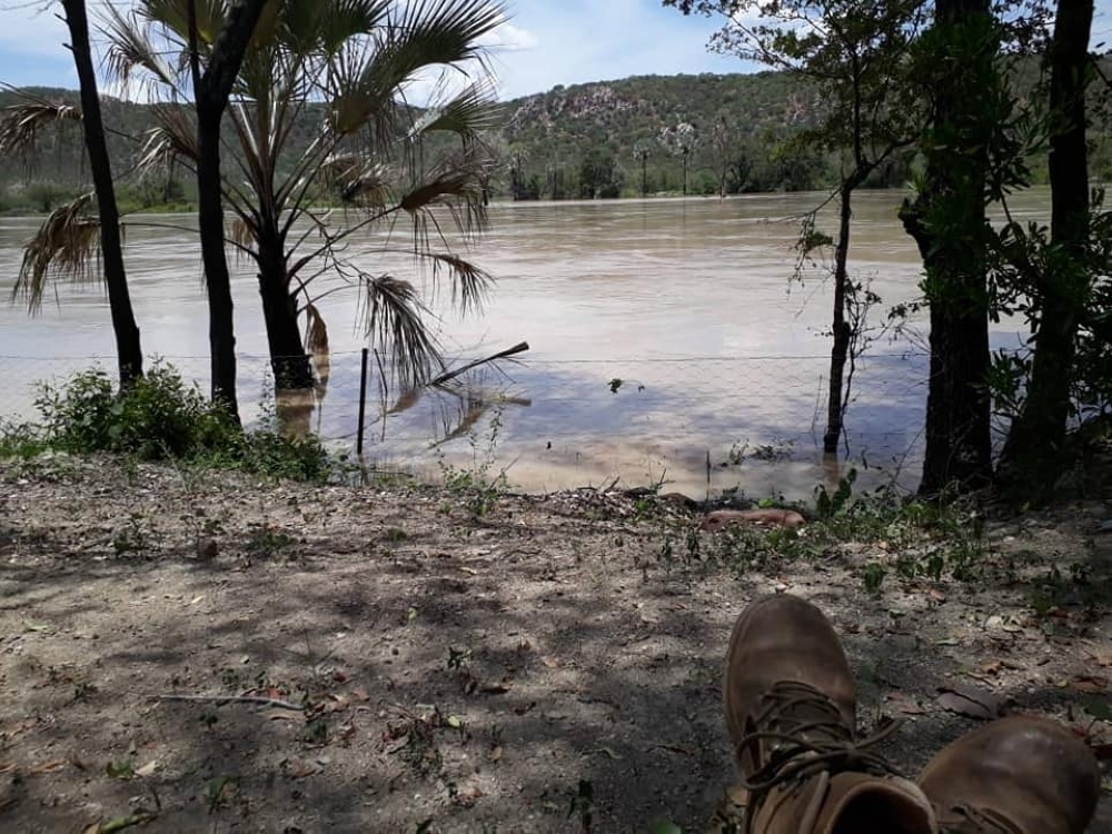 Kunene finally receives rain - Namibian Sun