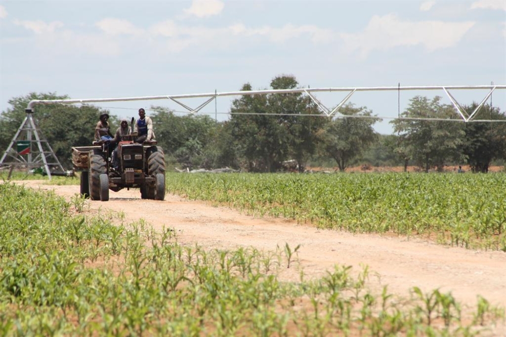 Factors to consider when applying for Agribank loans - Namibian Sun