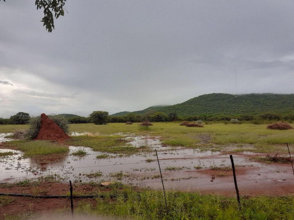 Heavy rain, flash floods likely - Namibian Sun
