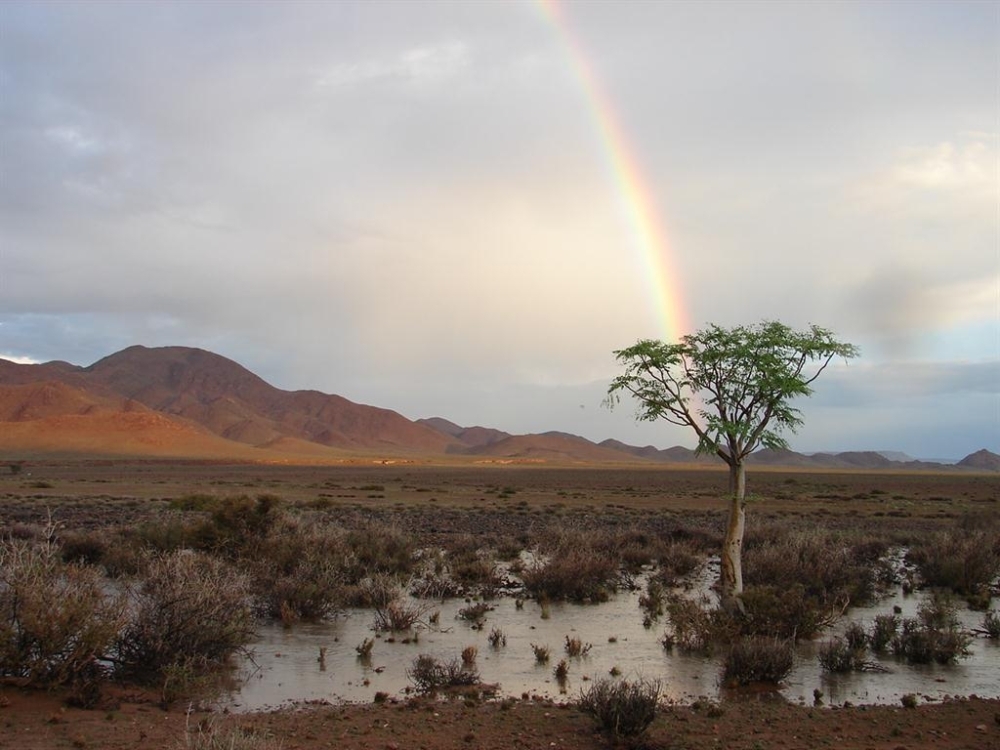 Regions receive more than 500 mm of rain - Namibian Sun