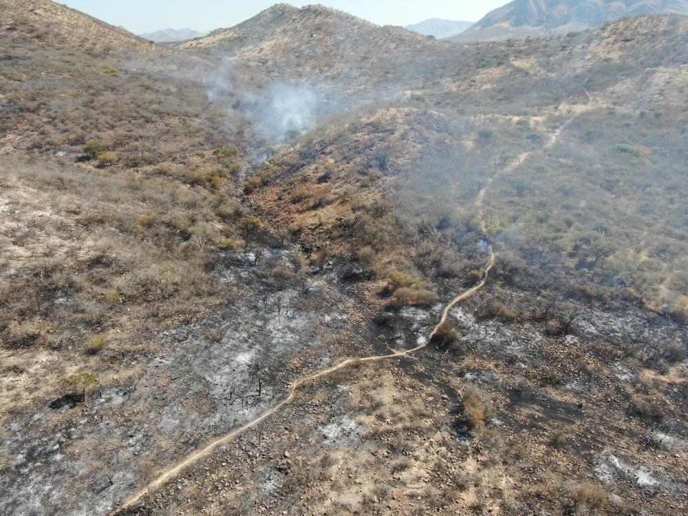 Protecting your property from veld fires - Namibian Sun