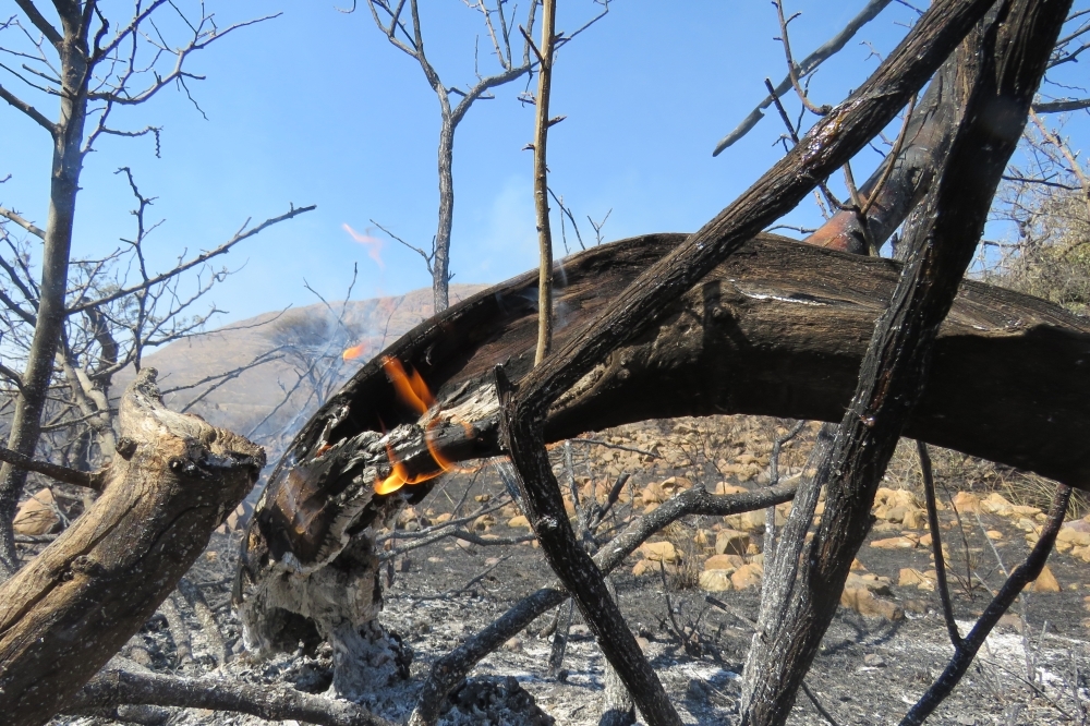 Protecting your property from veld fires - Namibian Sun