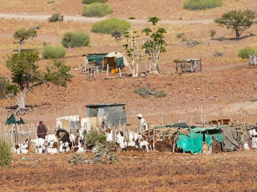 Foreign land ownership: Seismic shift looms for communal areas ...