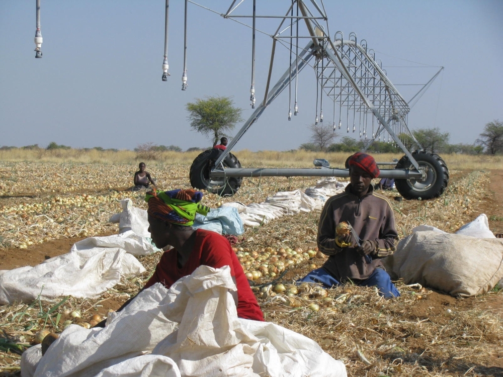 Swapo advised to lean on private sector for recovery - Namibian Sun