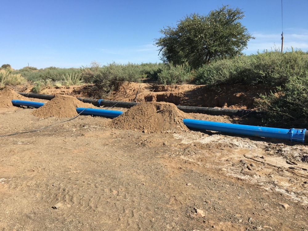 Nida lists dream projects - Namibian Sun