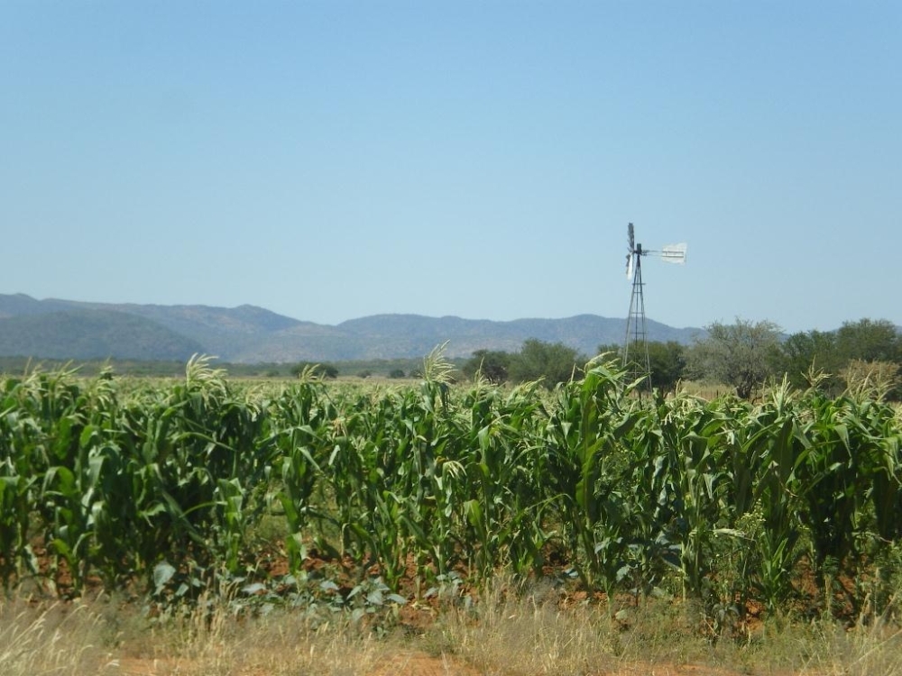 Agribusdev workers sent to prisons - Namibian Sun