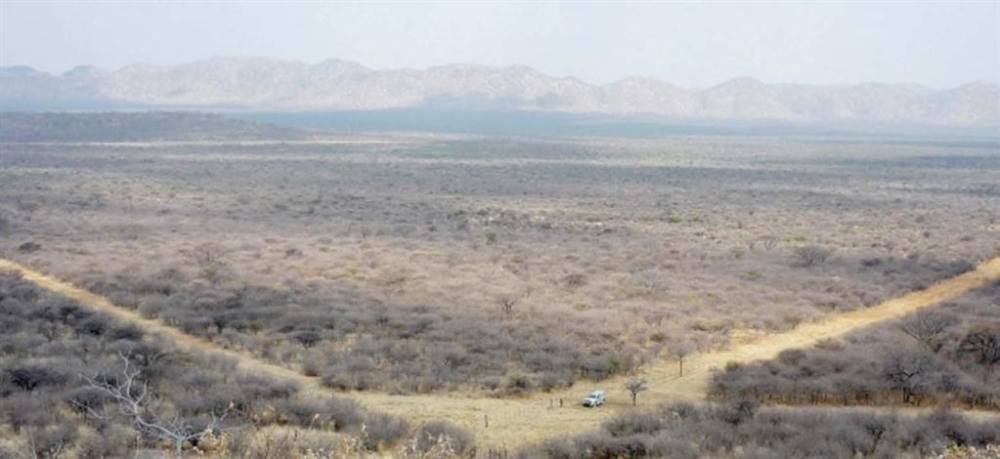 Billions to be made from bush-encroached land - Namibian Sun