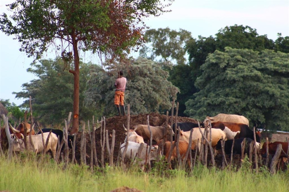 Amupanda staged red line case - Schlettwein - Namibian Sun