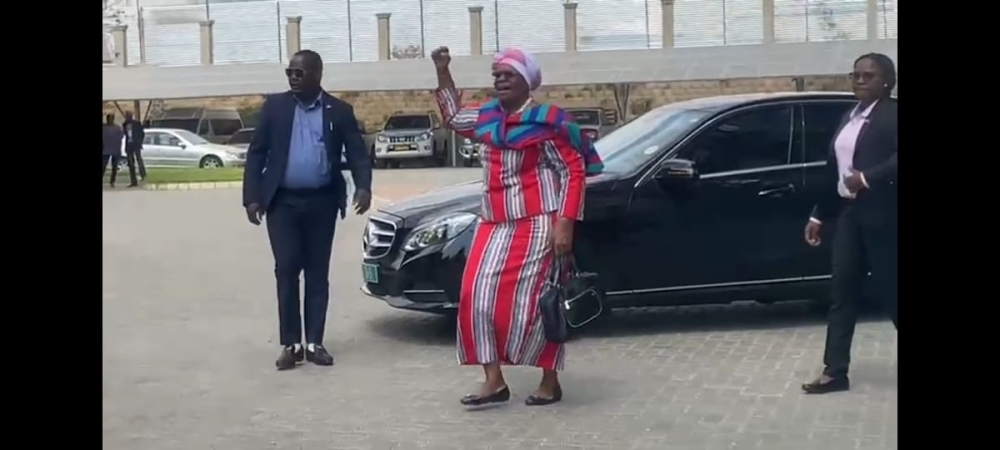 Govt vehicles in Swapo campaigns denounced - Namibian Sun