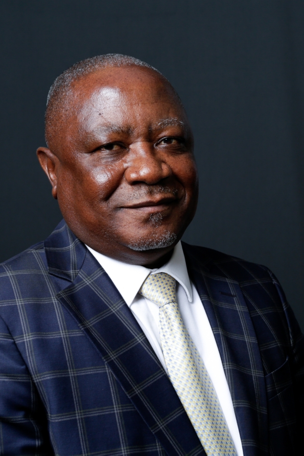 Alweendo explains change of mining commissioner - Namibian Sun