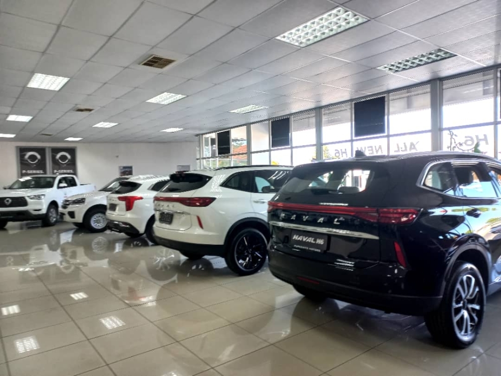 All hail Haval! - Namibian Sun