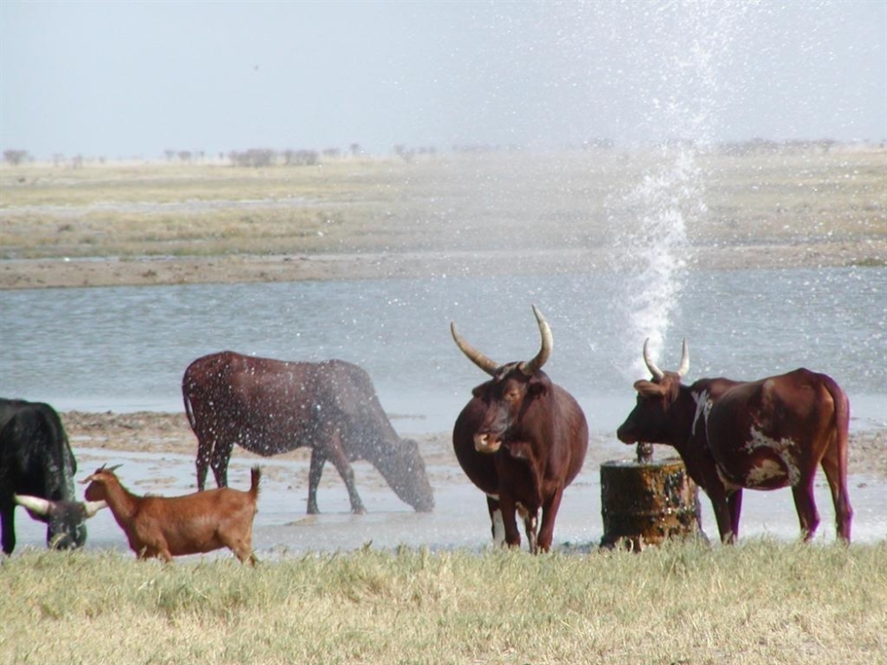 JUST IN: NAU added as defendants in Red Line legal battle - Namibian Sun