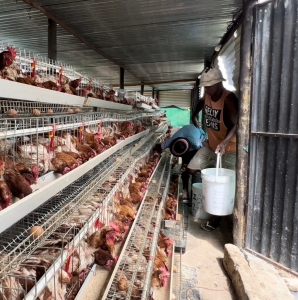 Agriculture - Namibian Sun