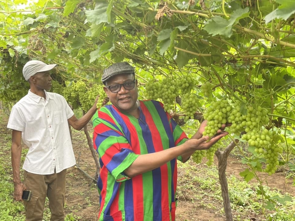 Gaomab II: Reasons for Nida boss suspension revealed - Namibian Sun