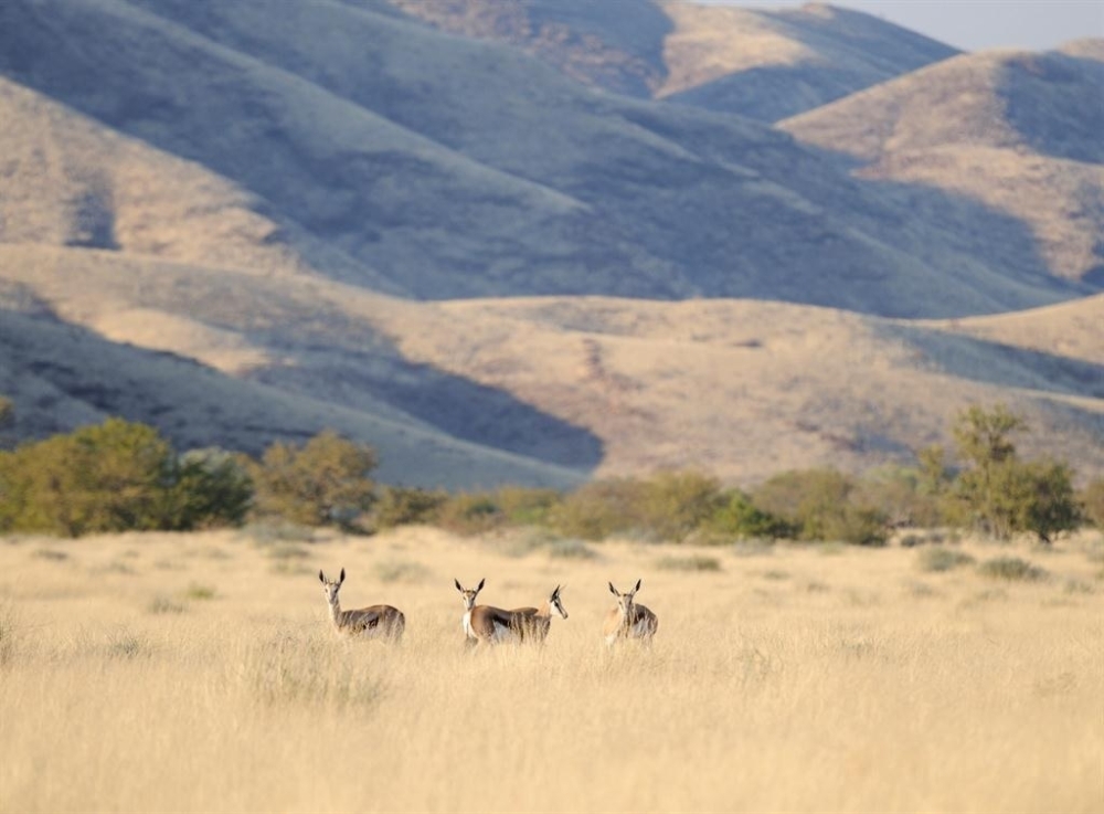 Government Directory of Namibia